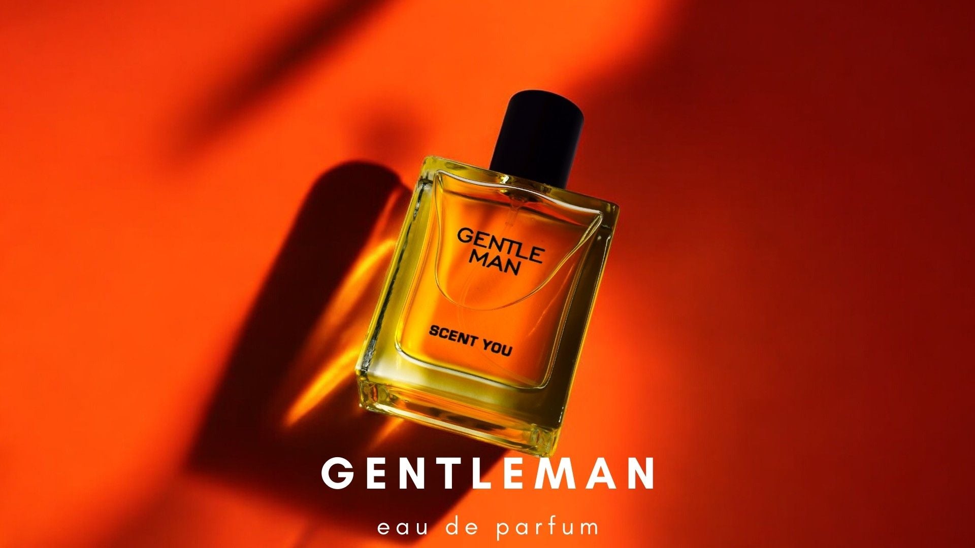Scent You | Premium Fragrances. – ScentYou.pk